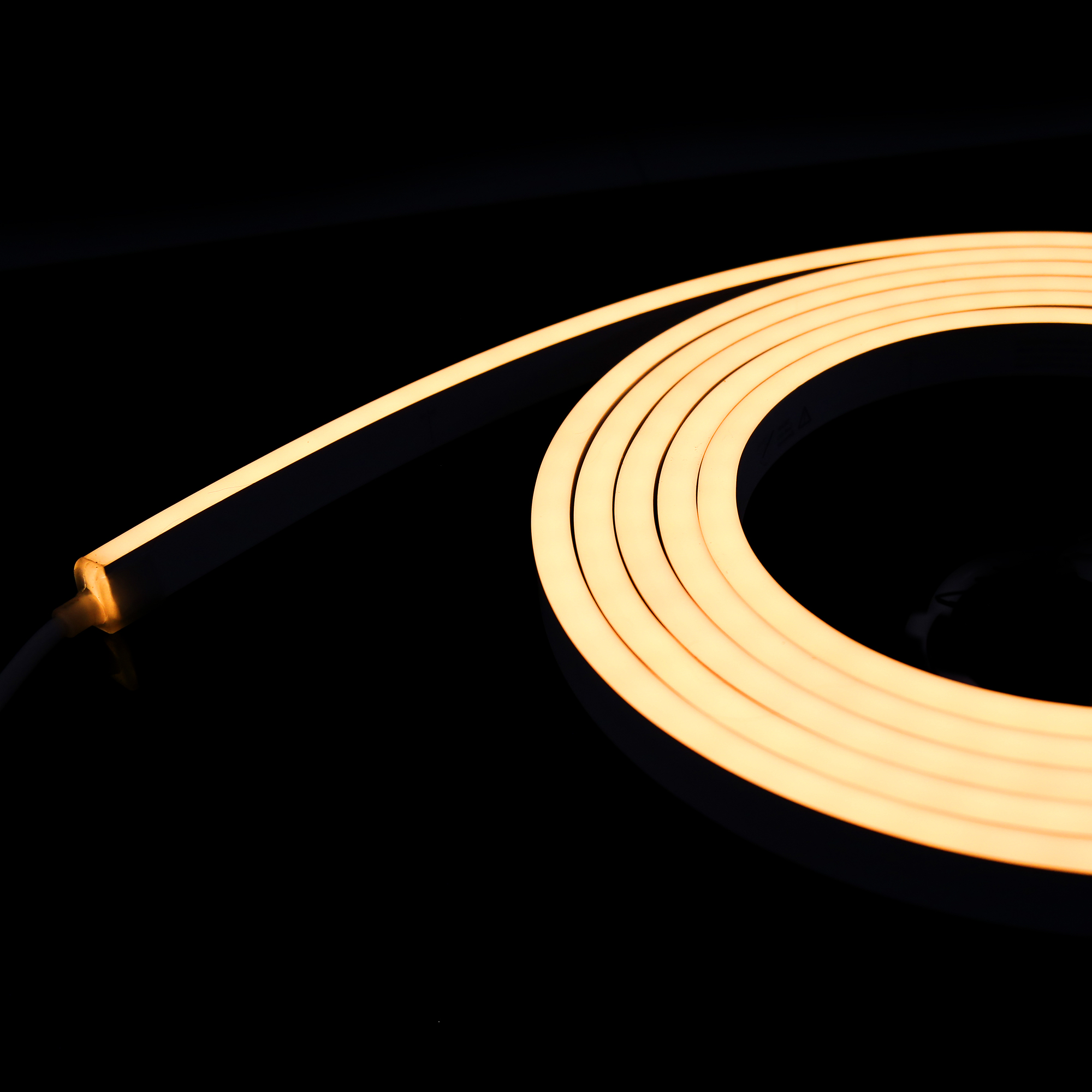 Environmental Lights Introduces Eluxtra ProFlex LED Neon and Strip ...